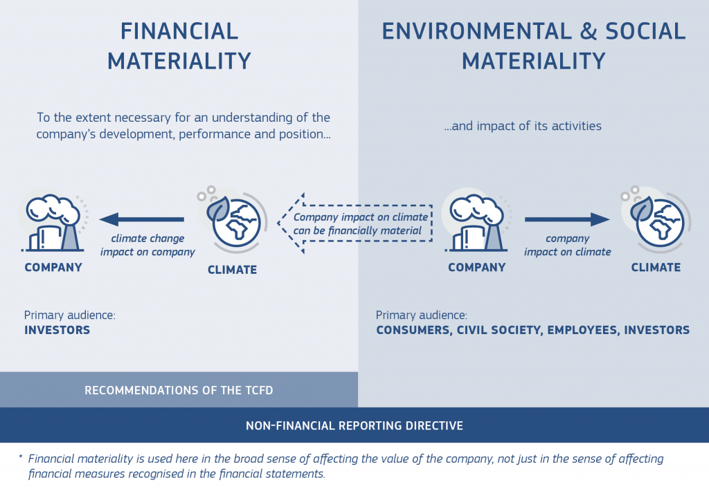 Table 1: The double materiality perspective of the Non-Financial ...