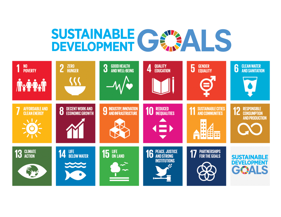 Our Contribution to the Sustainable Development Goals (SDGs ...