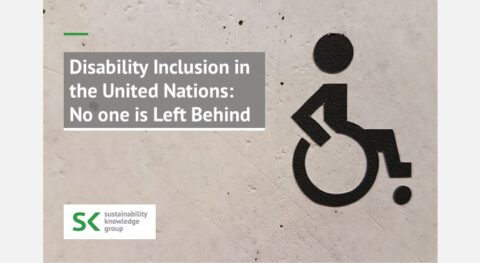 Disability Inclusion in the United Nations: No one is Left Behind ...